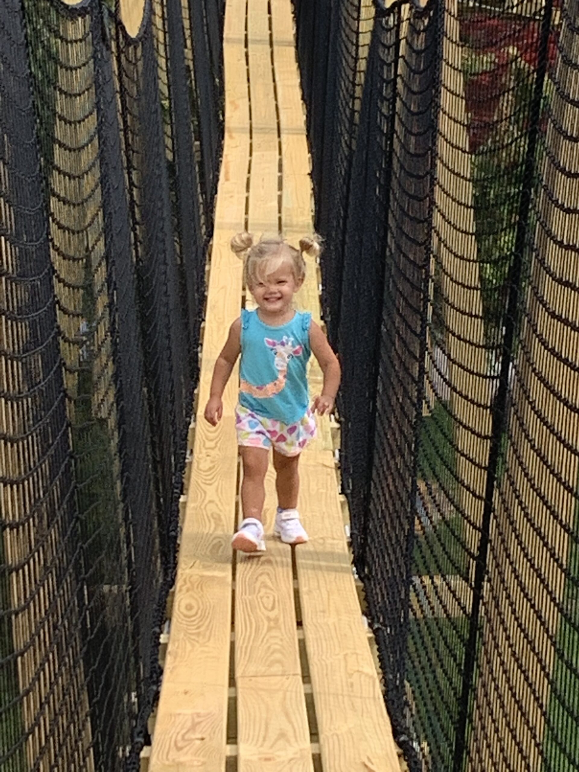 The Canopy Tour - Zoological Society